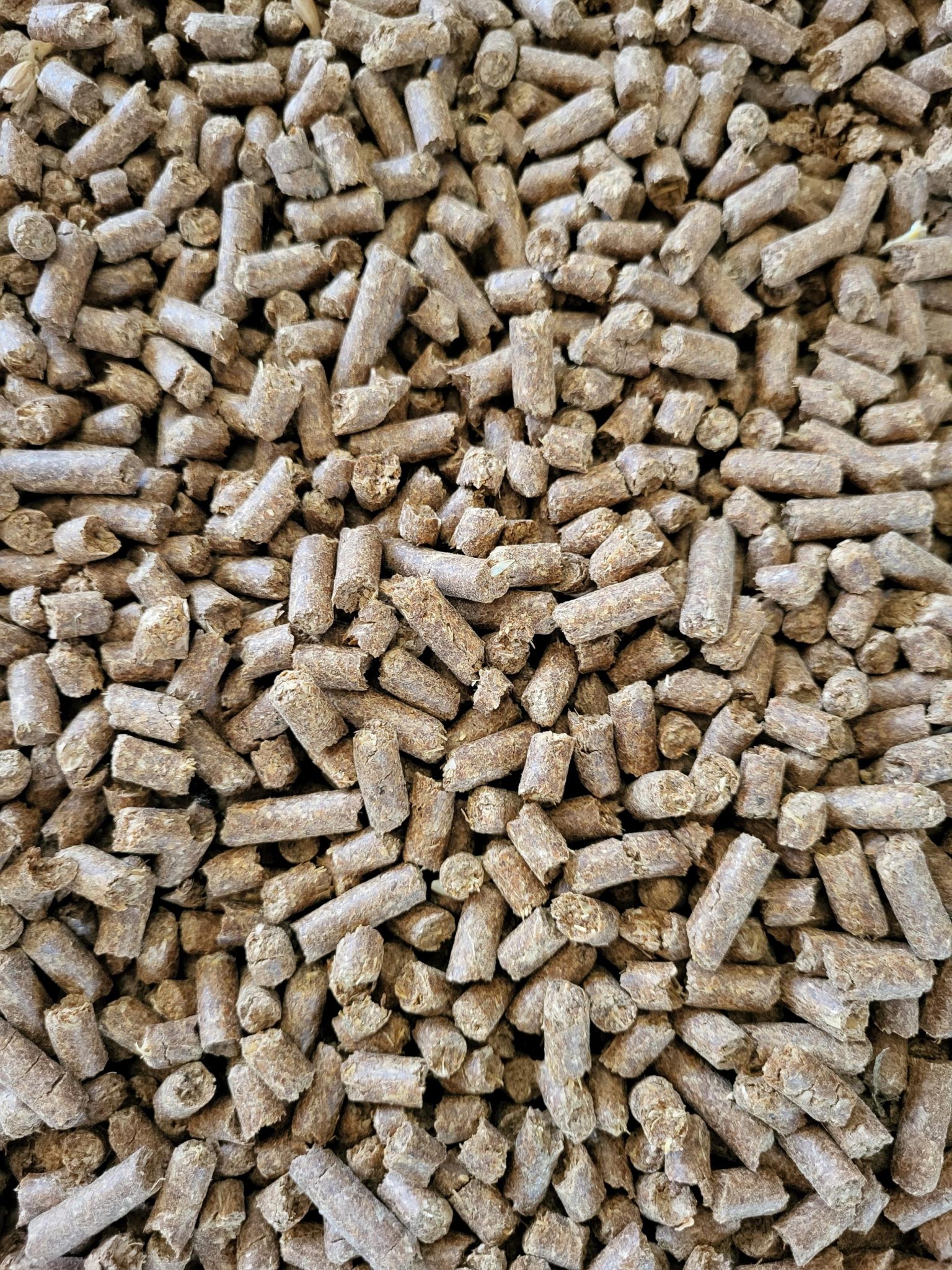 ProtiGrain – Rausch